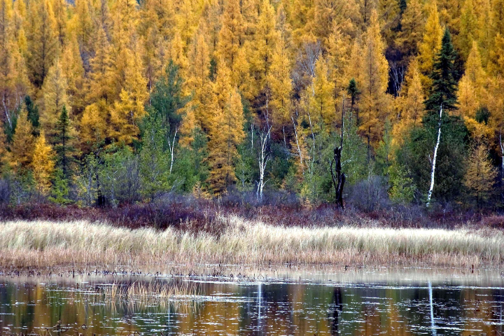 Fall in Whitefish & Kalispell | Montana Autumn Events & Activities